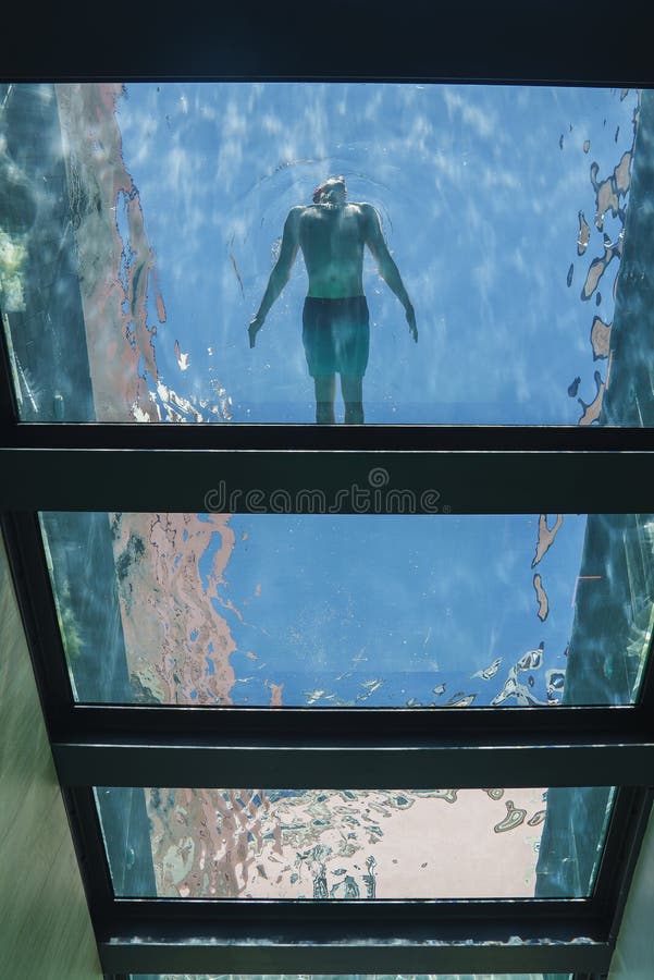 Person Swimming in Transparent Glass Bottom Pool at Luxury Hotel Stock ...