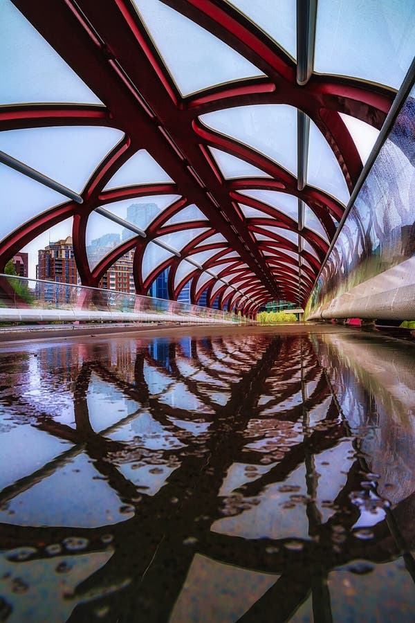 Unique Peace Bridge Reflections Editorial Image - Image of rain, puddle ...
