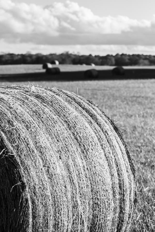 Black and White Vertical Hay Bale Section with Field in Distance Stock ...