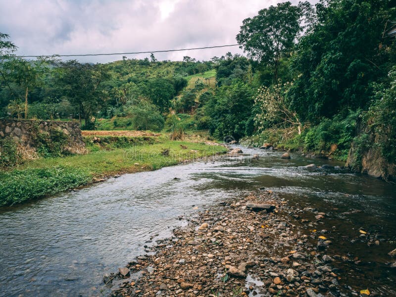 Unique View of a Stream in a Rural Area Stock Image - Image of home ...
