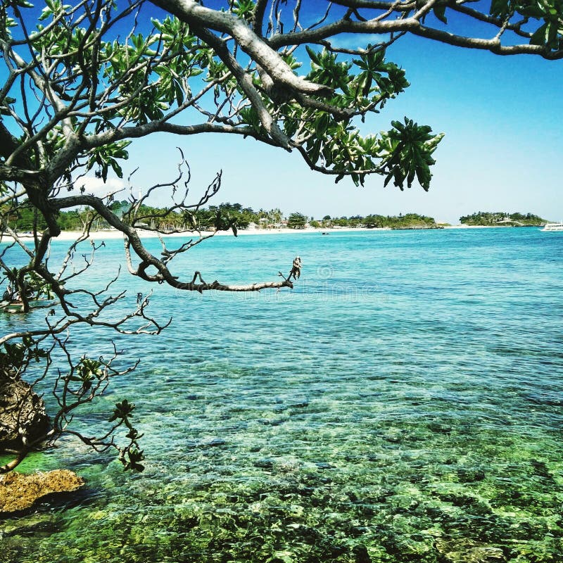 Unique view stock photo. Image of view, summer, unique - 153923658