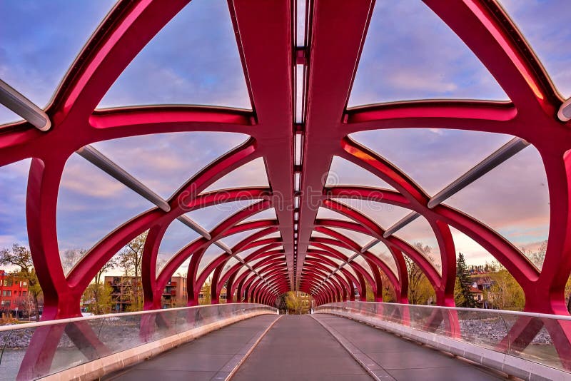 Unique View of Walking on the Peace Bridge Editorial Stock Image ...