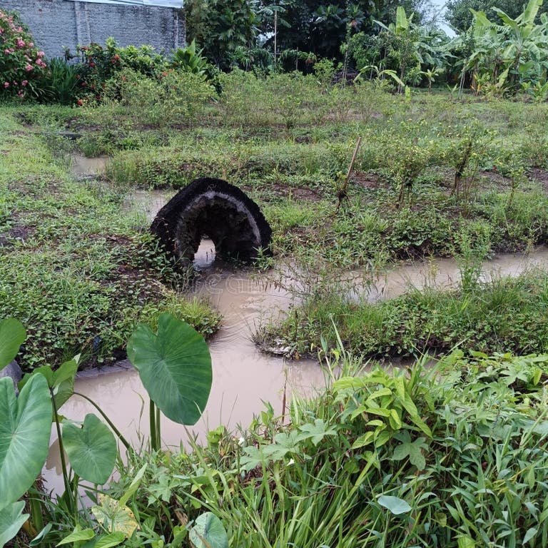 Unique water flow stock photo. Image of unique, flow - 314709926