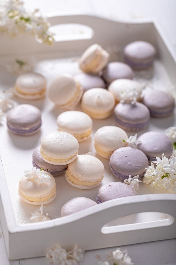 Unique Macaroons of Flower Flavour. Creative Dessert Compositions Stock ...