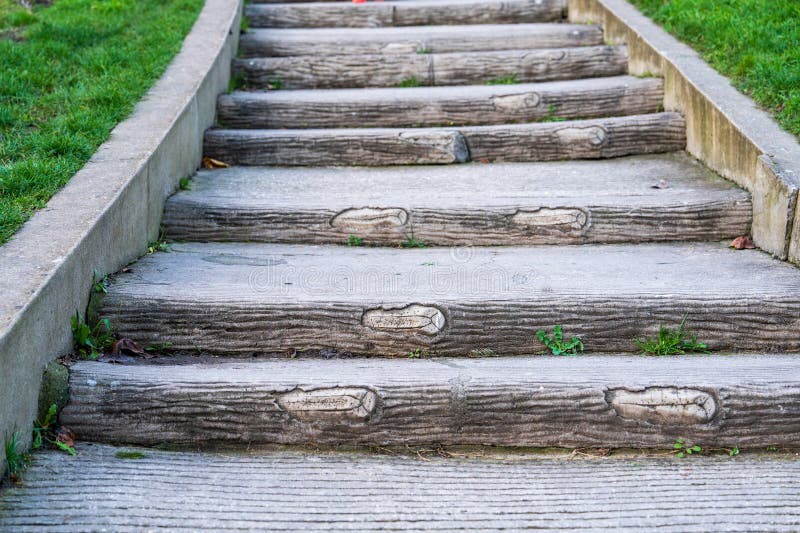Unique Wood-patterned Steps in a Park Create an Inviting Atmosphere ...