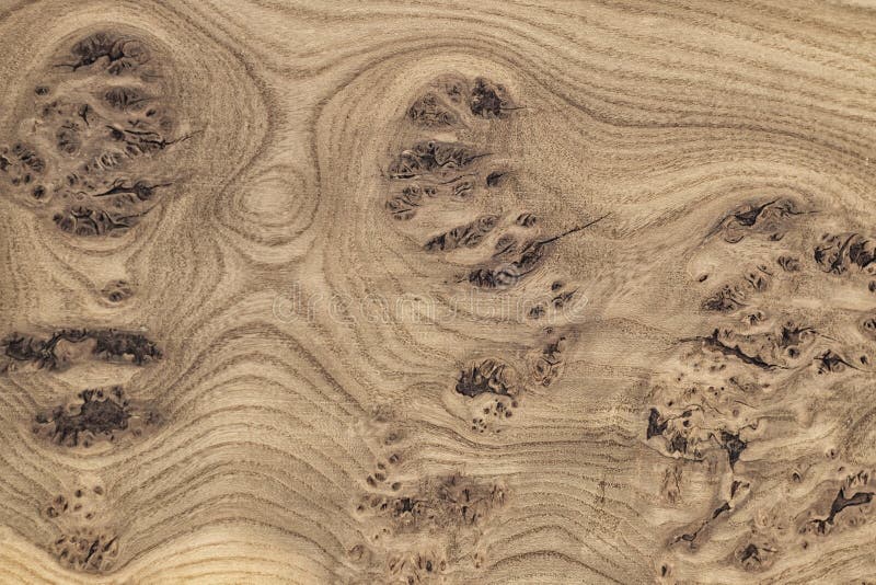 Unique Wood Texture with Knots and Cracks Stock Image - Image of copy ...