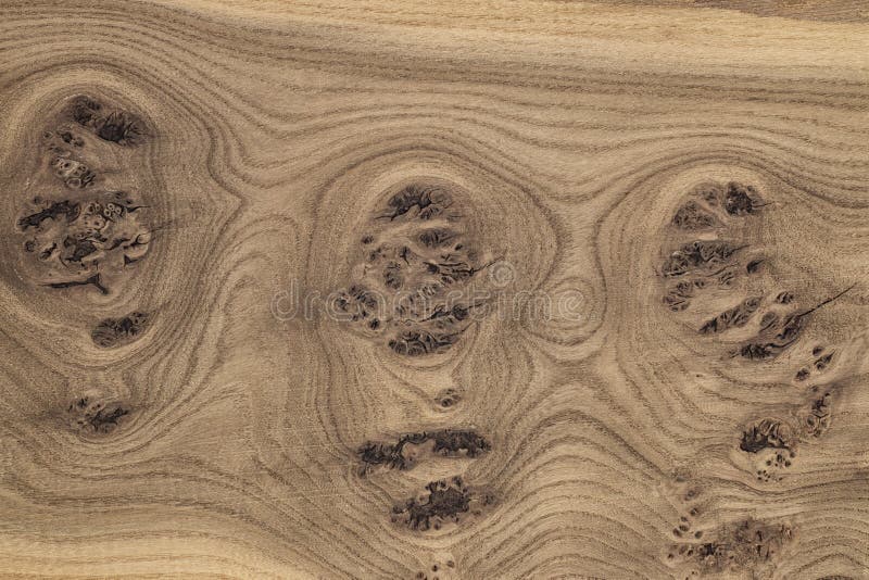 Unique Wood Texture with Knots and Cracks Stock Image - Image of timber ...
