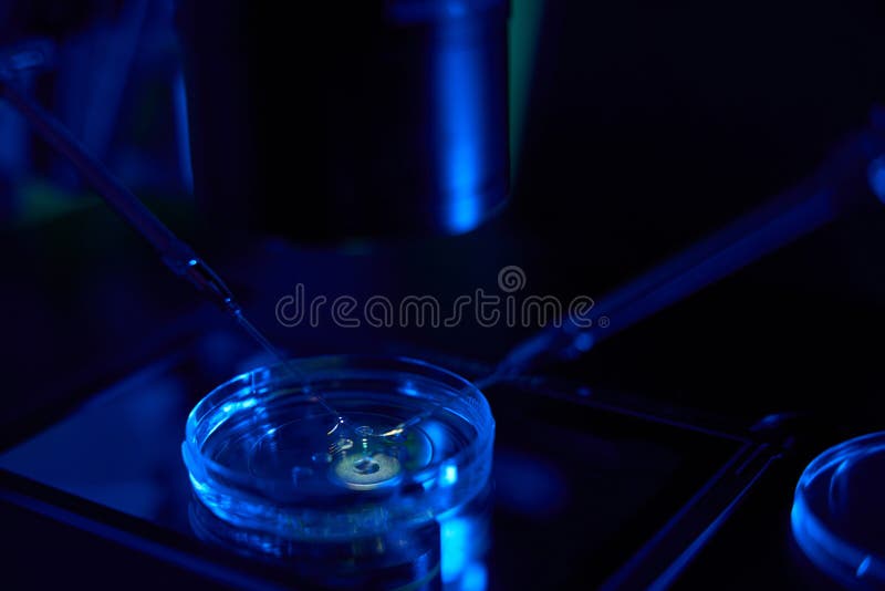 Unique Working Tool of Embryologist is Set of Micromanipulators Stock ...