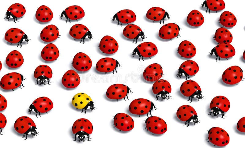 Yellow Ladybug In The Middle Of A Crowd Of The Red Ones Stock ...