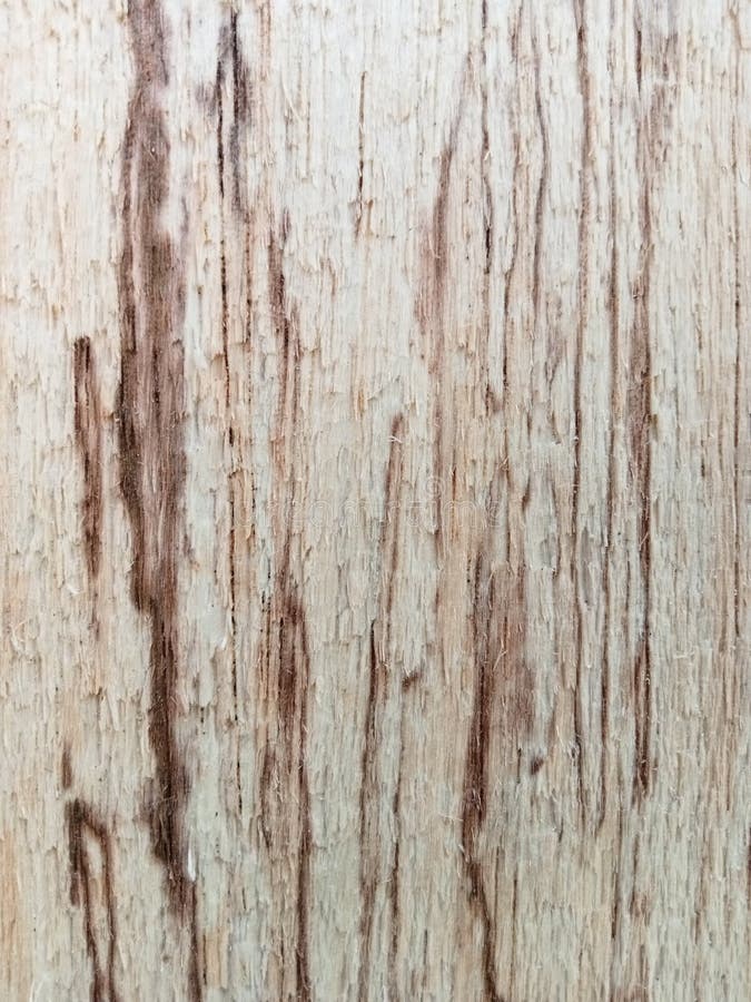 The Uniqueness of the Beautiful Wood and Fiber Stock Photo - Image of ...