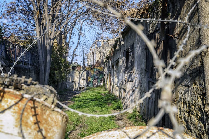 Cyprus Civil Defence Force on Parade Editorial Photo - Image of cyprus ...