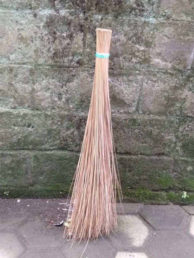 United we Stand,divided we Fall Stock Photo - Image of trunk, wall ...