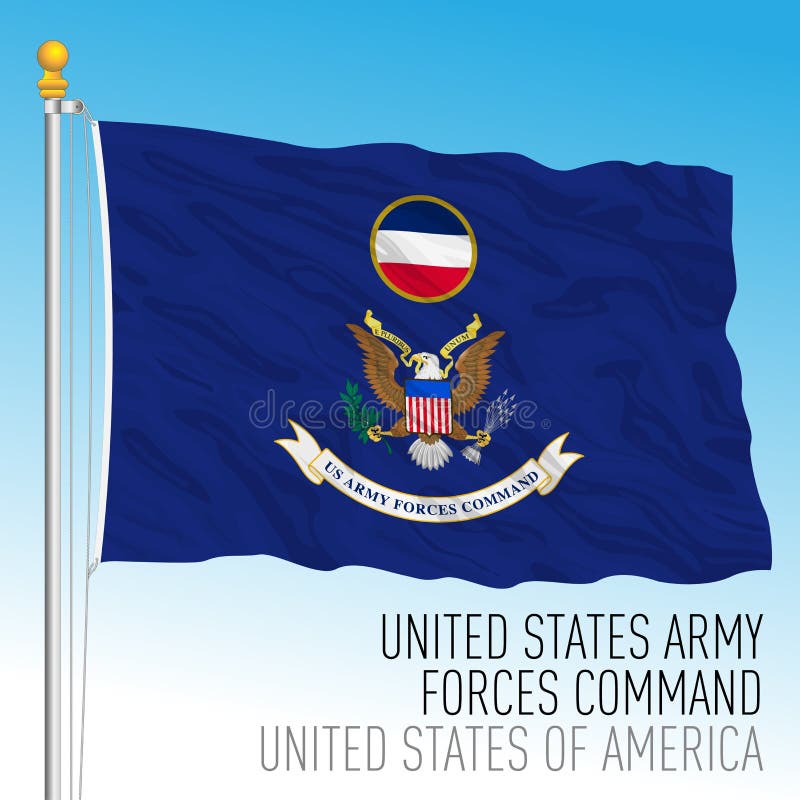 United States Army Forces Command Flag, USA, Vector Illustration ...