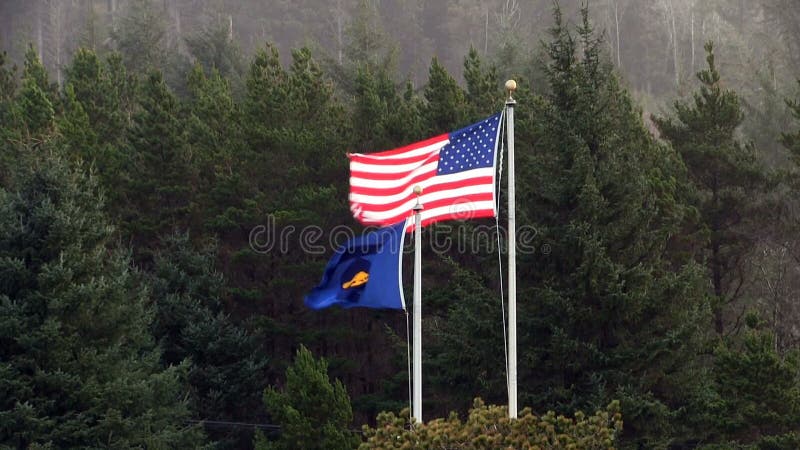 Flag of Oregon Footage Video Waving in Wind. Oregon Flag. Oregon State ...