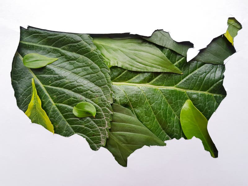 United States Map with Green Leaf Texture and White Background Stock ...