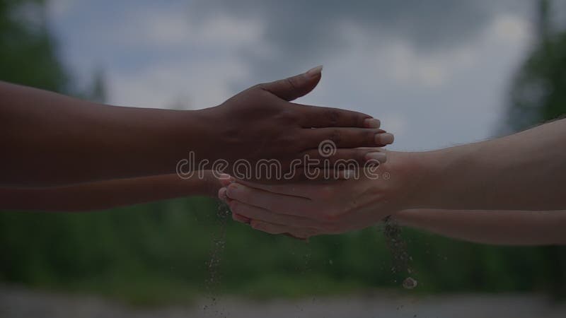 Unity and Diversity are Beautifully Represented by Hands in a Natural ...