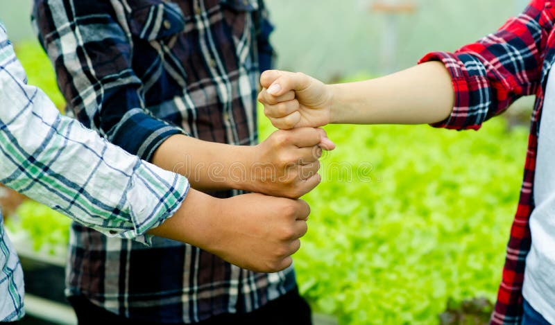 Teamwork Unity Group Unity of Mind Power Put Your Hands in a Vertical ...