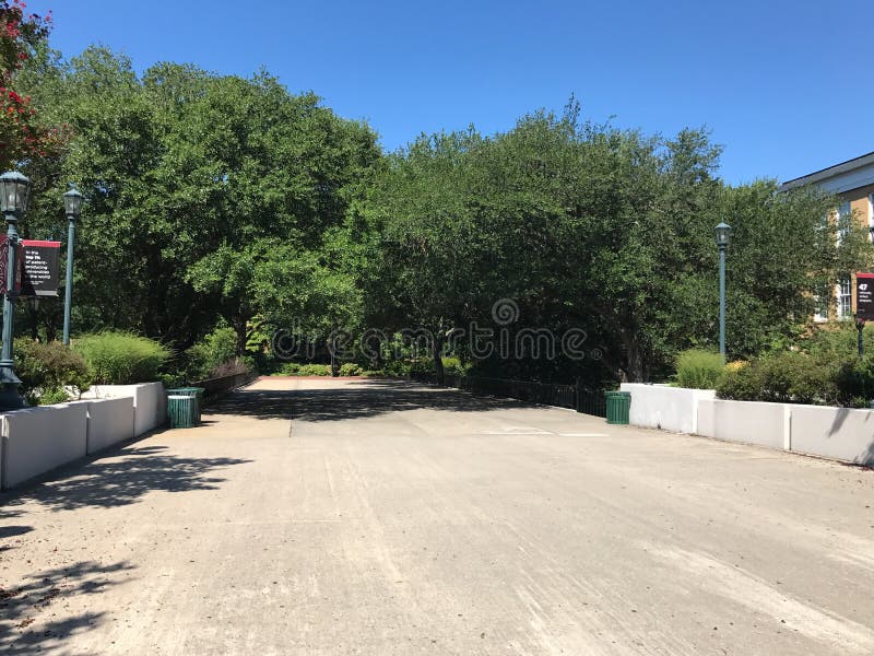 Univ. of South Carolina Student Bridge Editorial Stock Photo - Image of ...