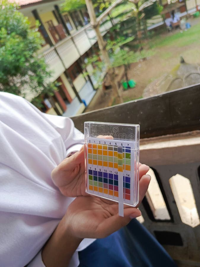 Universal Indicator stock photo. Image of solution, practicum - 323577782