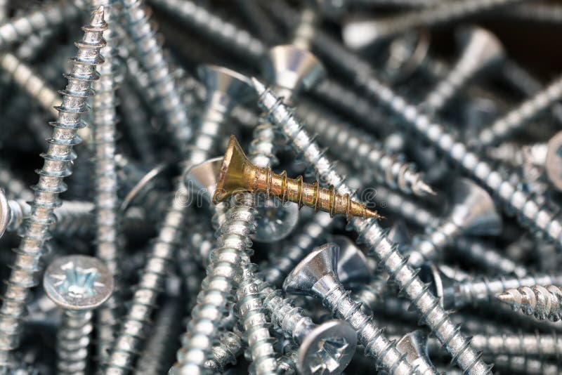 Universal Silver Screws of Different Sizes Closeup Stock Image - Image ... Universal Silver Screws of Different Sizes Closeup Stock Image - Image ...