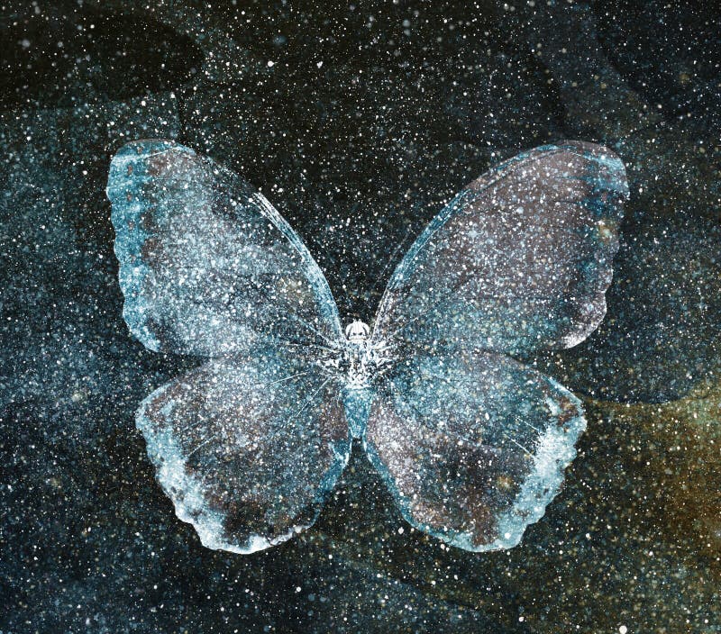 Universe Starry Sky Butterfly Stock Photo - Image of night, animal ...