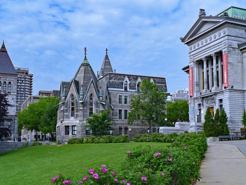 Universidad De McGill, Montreal Foto de archivo - Imagen de edificio ...