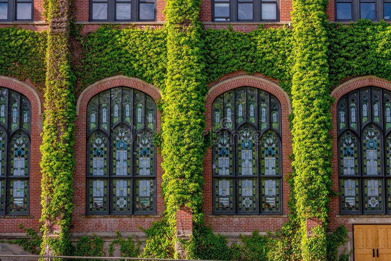 University Building Covered with Ivy Stock Image - Image of clouds ...
