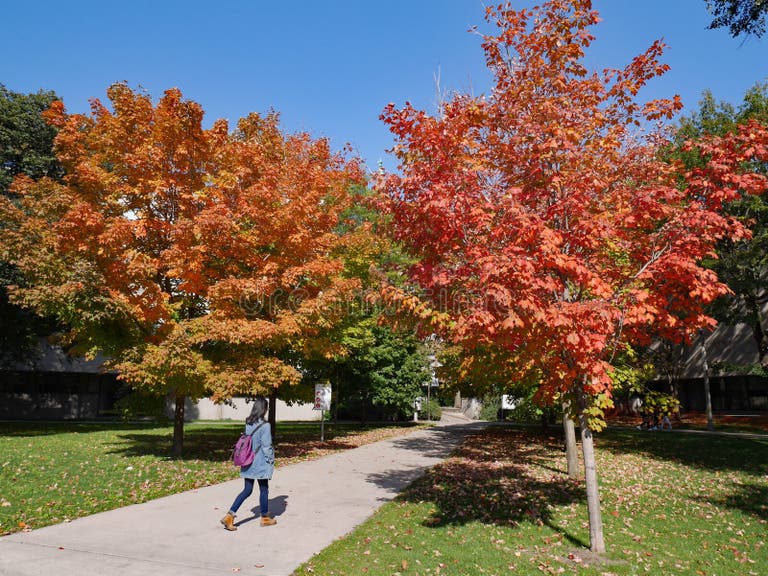 University Campus with Fall Colors Editorial Stock Image - Image of ...