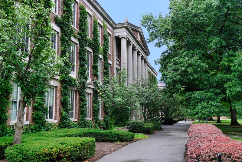 University Campus with Trees Stock Image - Image of rochester, york ...
