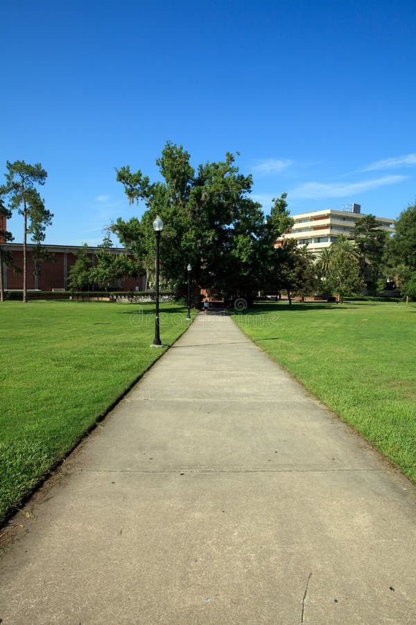 University Campus Walkway stock image. Image of education - 14744795
