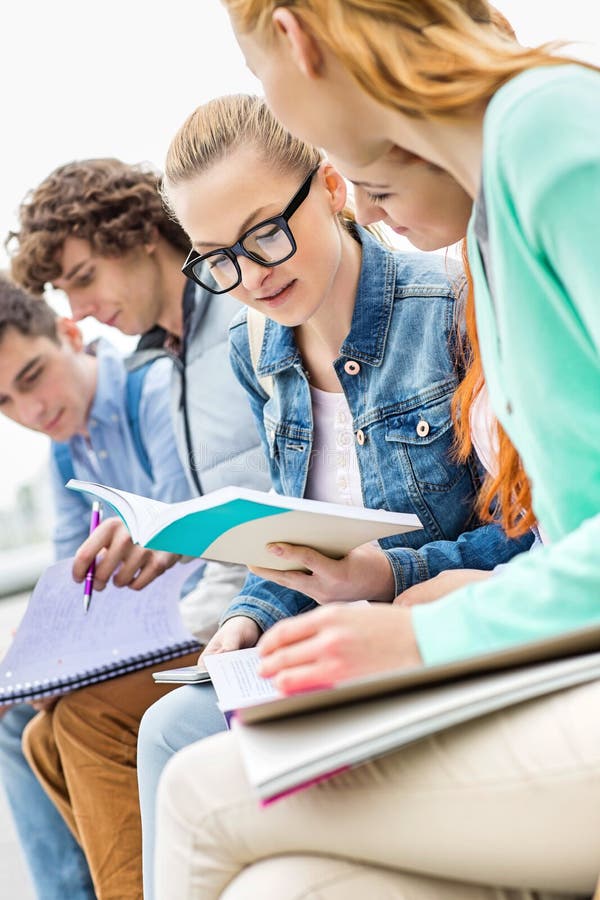 University Female Student with Friends Studying Together in Park Stock ...