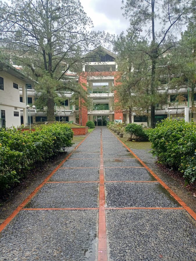 University garden tile stock image. Image of yard, suburb - 265540383