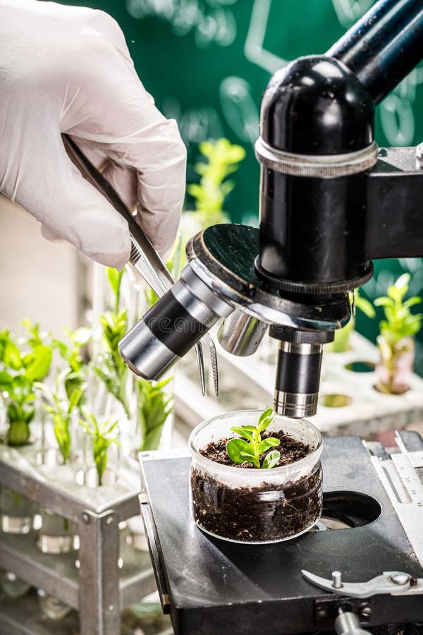 Practical Chemistry Classes. Checking the Chemical Formula in ...