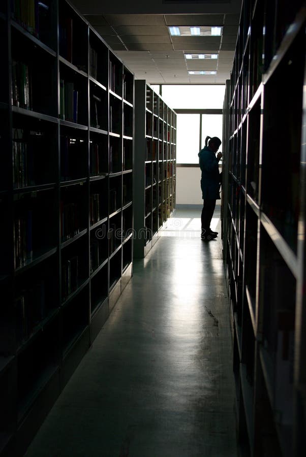 University library stock photo. Image of knowledge, school - 12528218