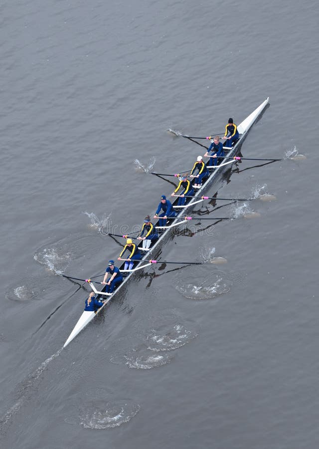 Oars in the Water stock photo. Image of line, rowing, ripple - 2307798