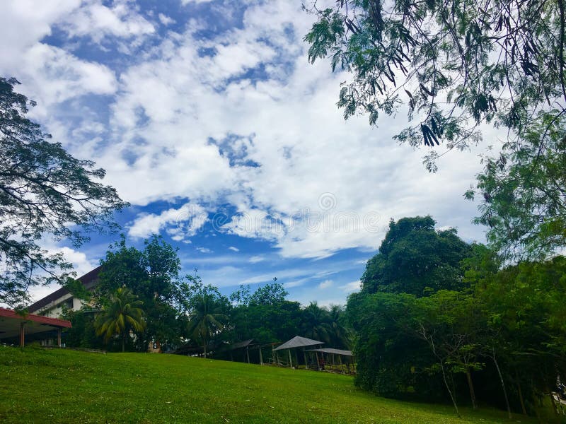 University nature stock image. Image of green, clouds - 133326261