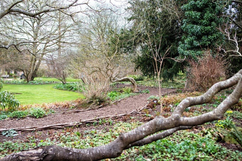 University of Oxford Botanic Garden Stock Image - Image of grass ...