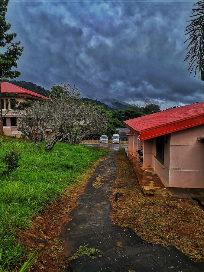 University Peradeniya Nature Cool Beauty Editorial Stock Image - Image ...