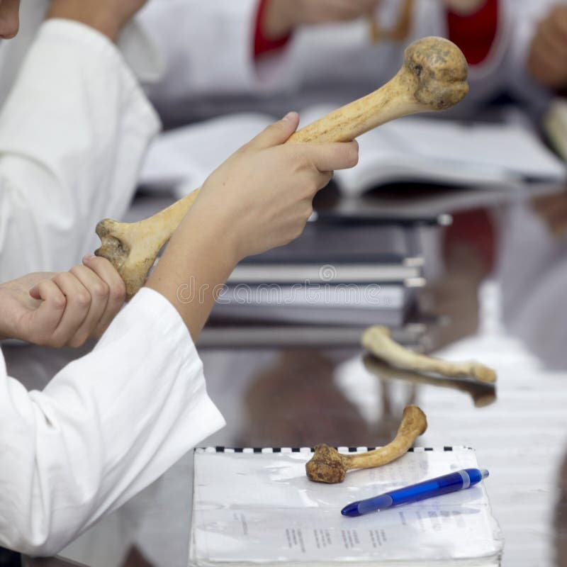 University student stock image. Image of biology, discovery - 17255001