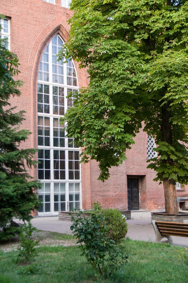 University Tree in garden stock photo. Image of library - 76511044