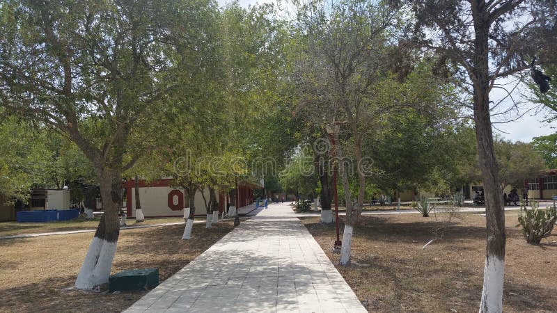 University stock image. Image of trees, school, university - 92350195