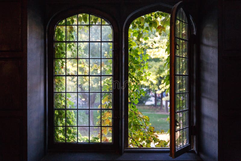 Cornell University stock photo. Image of upper, campus - 13894796