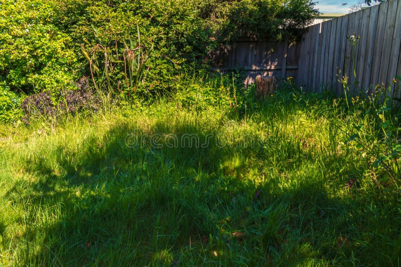 Unkempt garden 2 stock image. Image of fence, gardening - 103098599