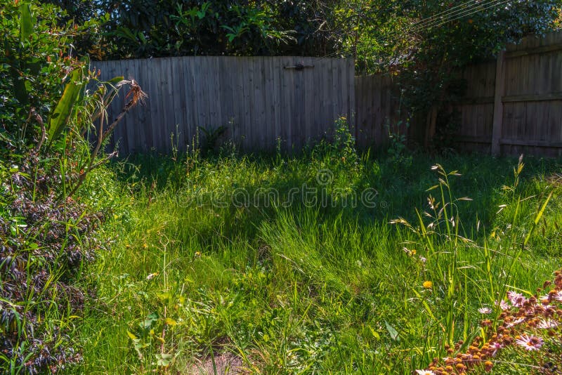 Woman smoking cigarette stock photo. Image of caucasian - 4610152