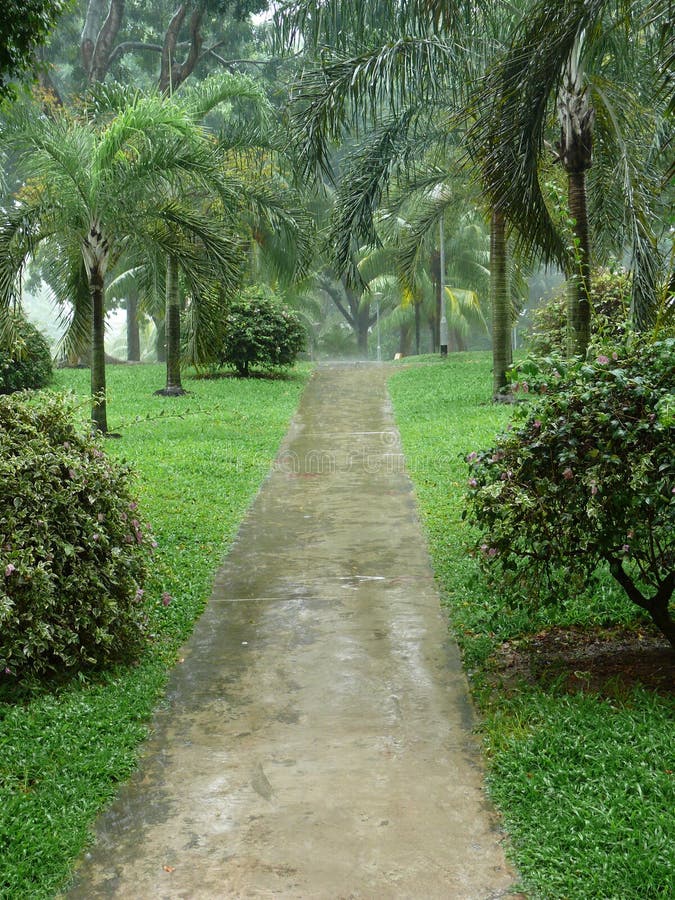 Into the unknown stock photo. Image of road, unknown, landscape - 7322080