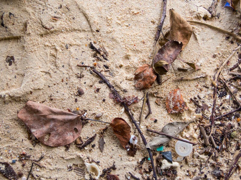 An unknown face stock photo. Image of andaman, nature - 97233178