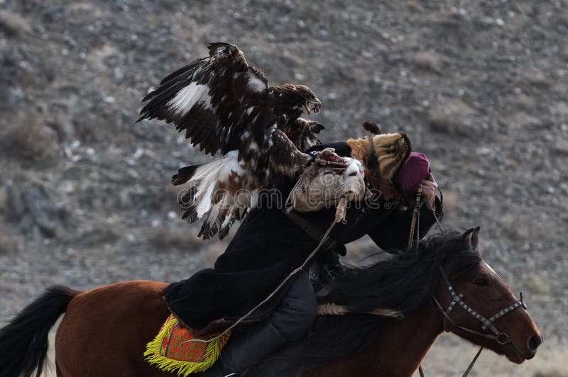 Unknown Huntsman with Golden Eagle Shows His Experience in Falconry ...