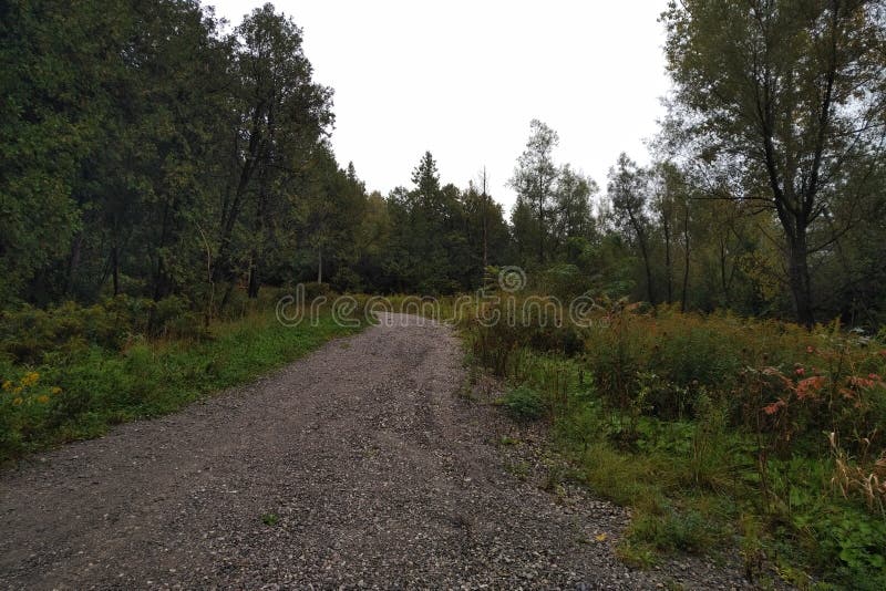 An Unknown Path stock image. Image of dawn, morning - 209645361