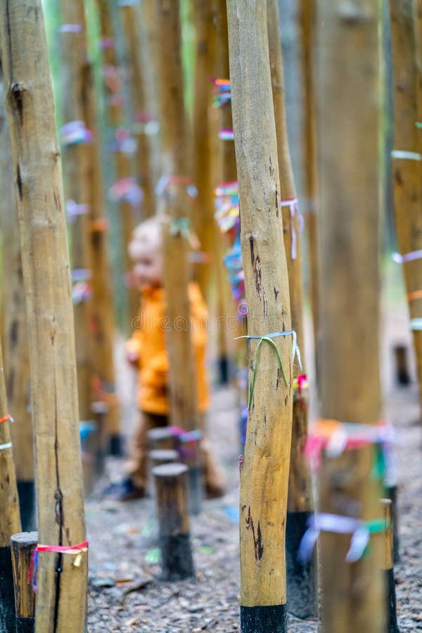 Wondering small baby stock photo. Image of curious, childhood - 20429144