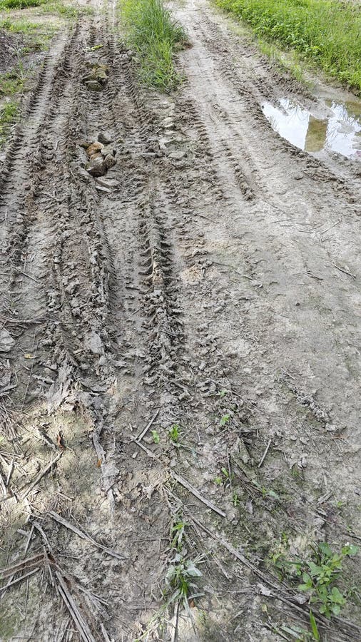 Unknown Vehicle Tire Track Prints Left on the Surface of the Dirt Path ...